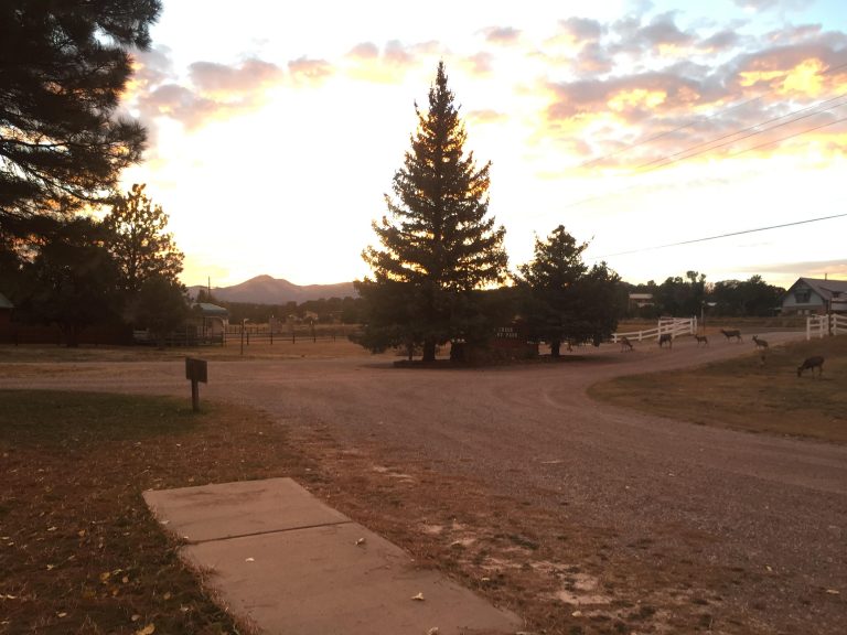 RV Campground - Little Creek RV Park : Little Creek RV Park