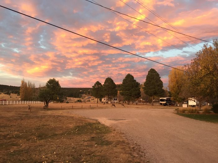 RV Campground - Little Creek RV Park : Little Creek RV Park